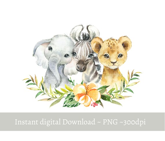 Baby Safari Animals PNG Watercolor Baby Animals Birthday - Etsy