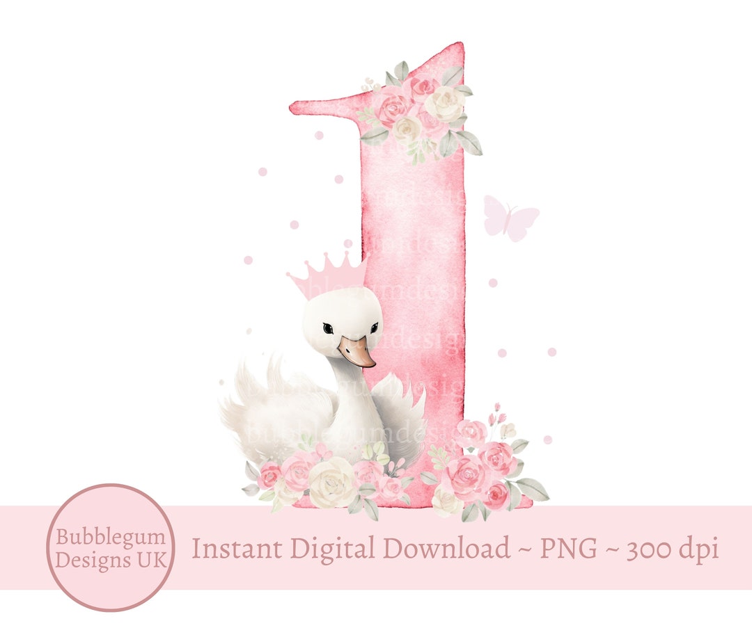 1st Birthday Swan Pink One PNG, Swans Sublimation Design, Girls First ...