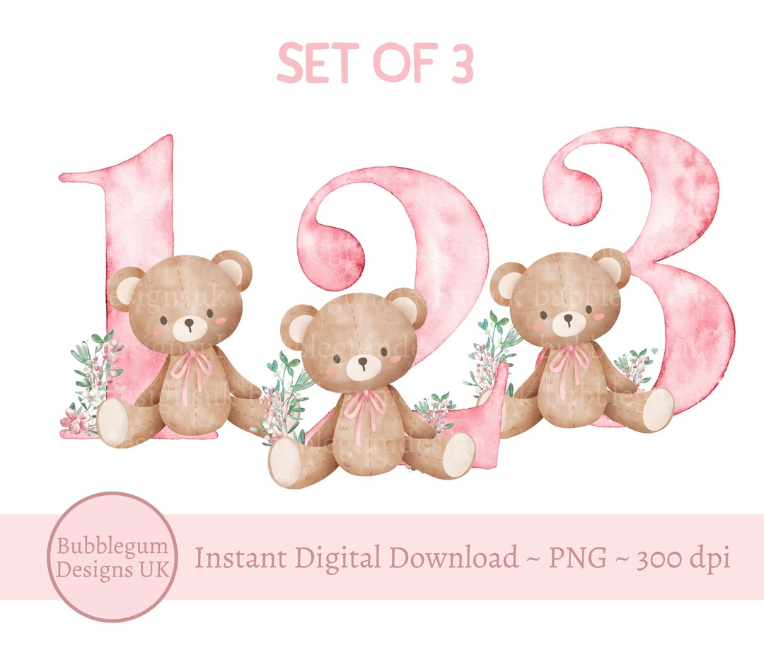Teddy Bear Pink Numbers Bundle Age 1-3 PNG, Birthday Bear Sublimation ...