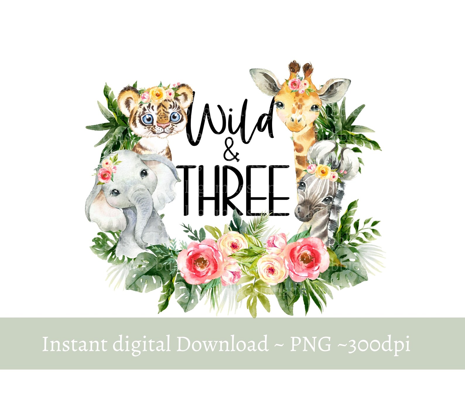 Wild & Three Safari Animals PNG Watercolor Baby Safari | Etsy