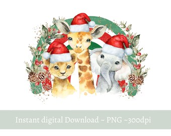 Santa Rainbow Hat - Etsy