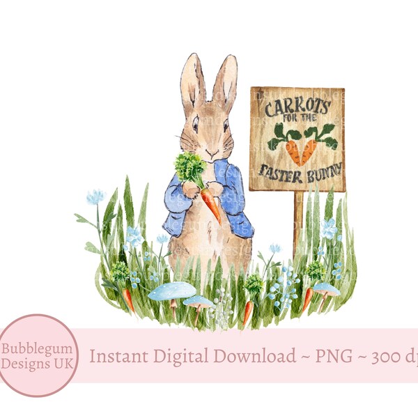 Peter Rabbit Patch - Etsy