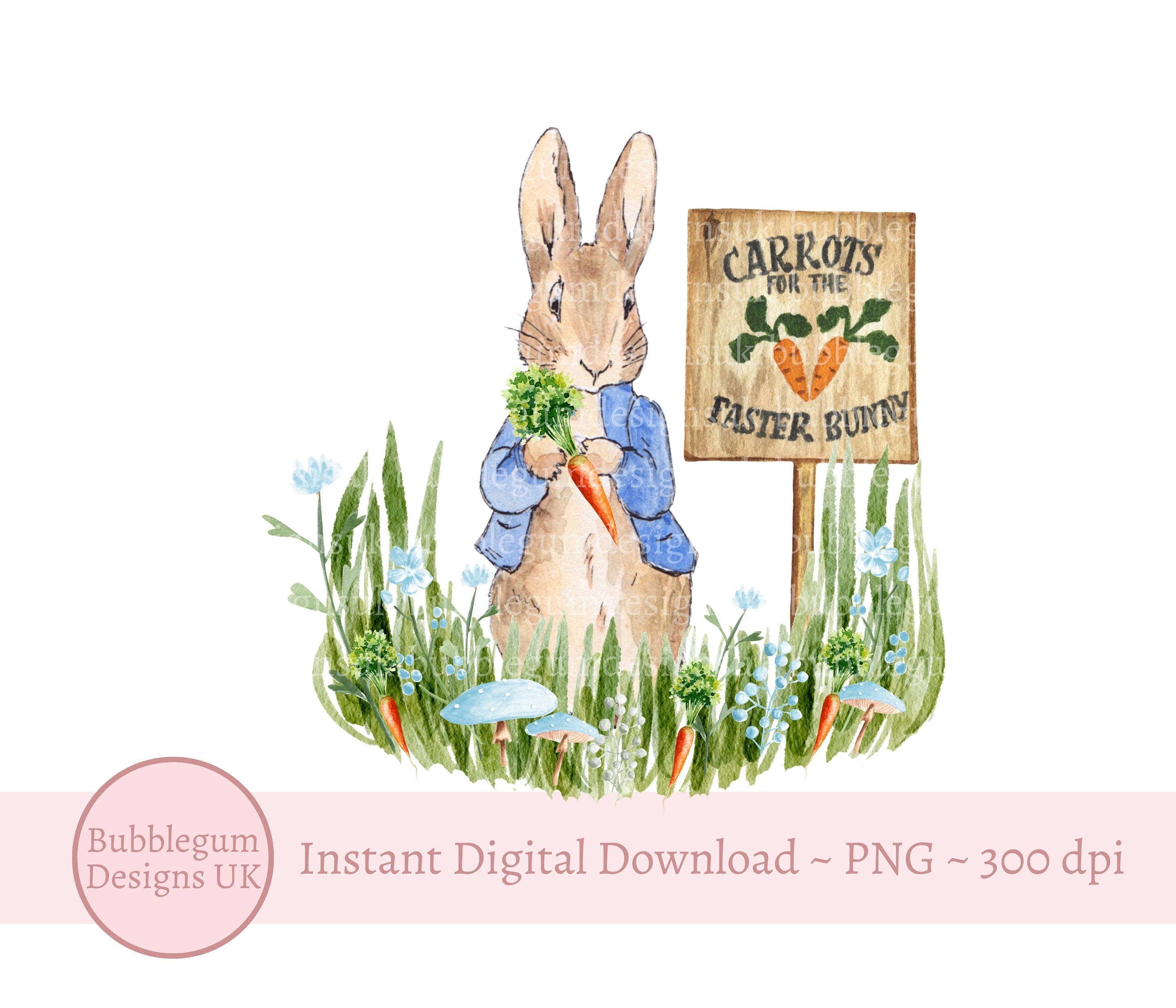 Peter Rabbit With Carrot
