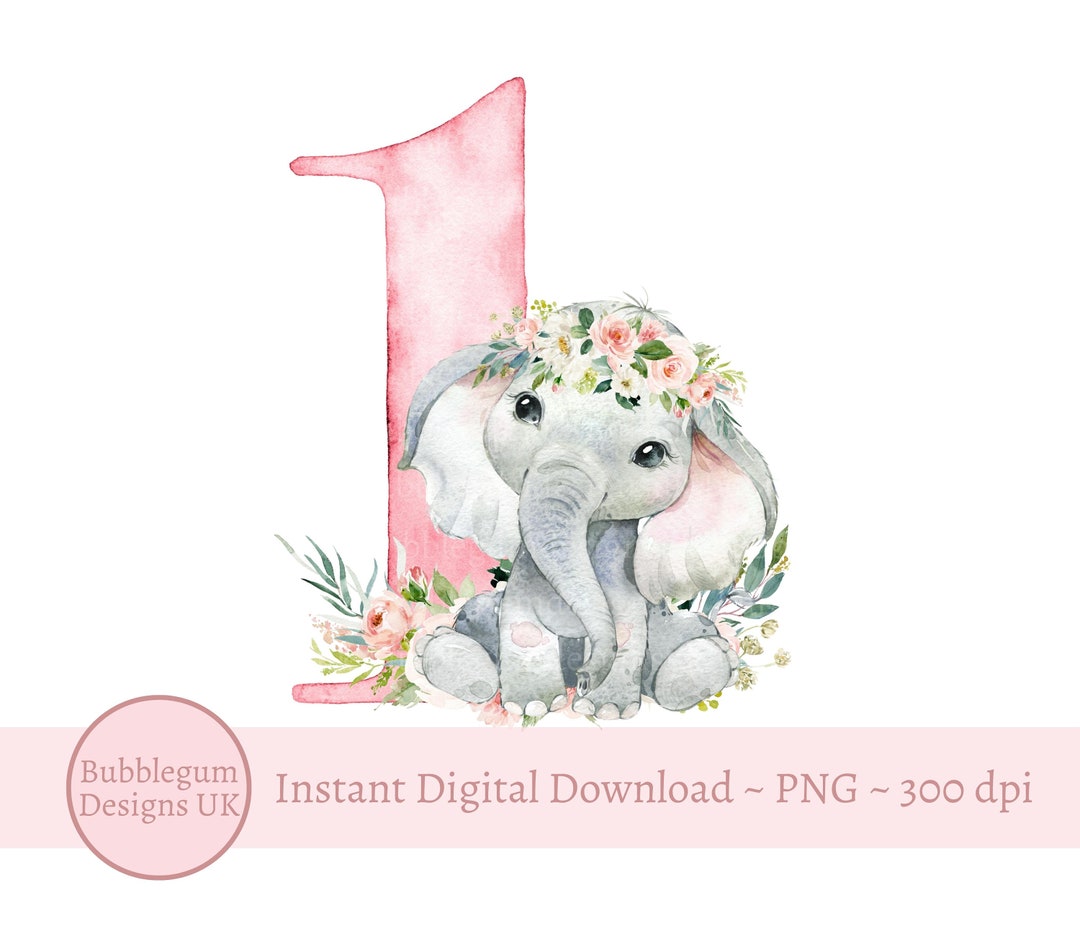 Baby Elephant 1st Birthday PNG, Pink Floral Watercolour Elephant ...