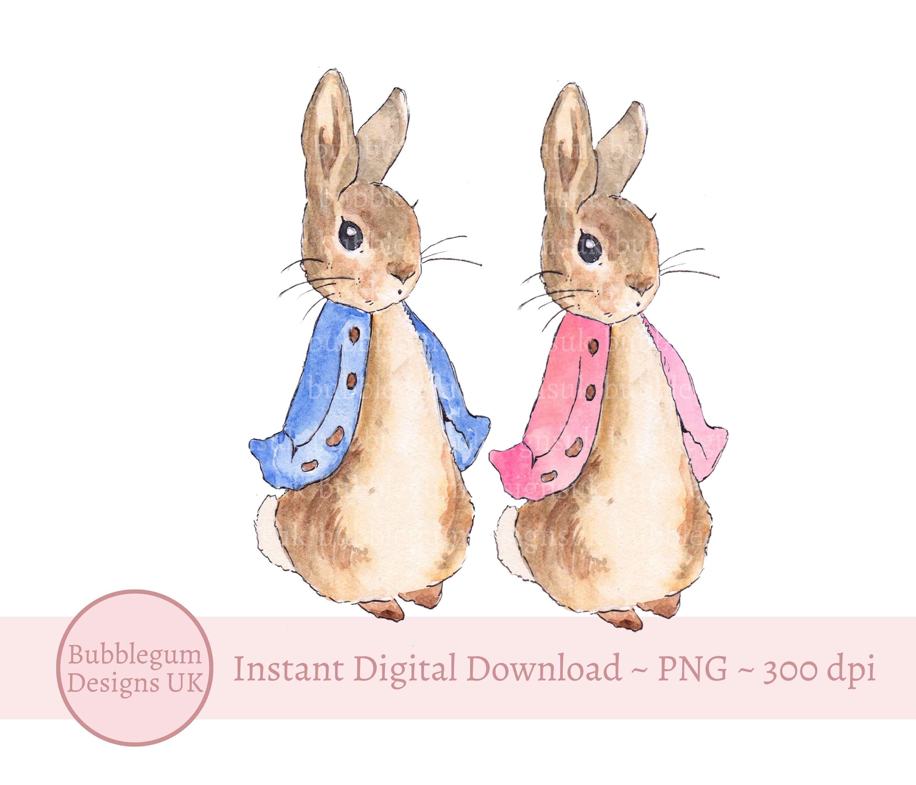 Peter Rabbit & Flopsy Bunny PNG Easter Bunny Peter Rabbit - Etsy