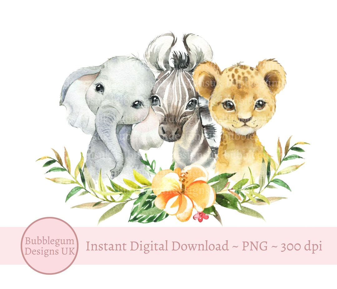 Baby Safari Animals PNG, Watercolor Baby Animals, Birthday Sublimation ...