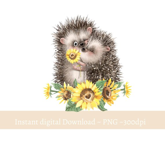 Autumn Fall Hugging Hedgehogs PNG Watercolor Hedgehogs With - Etsy