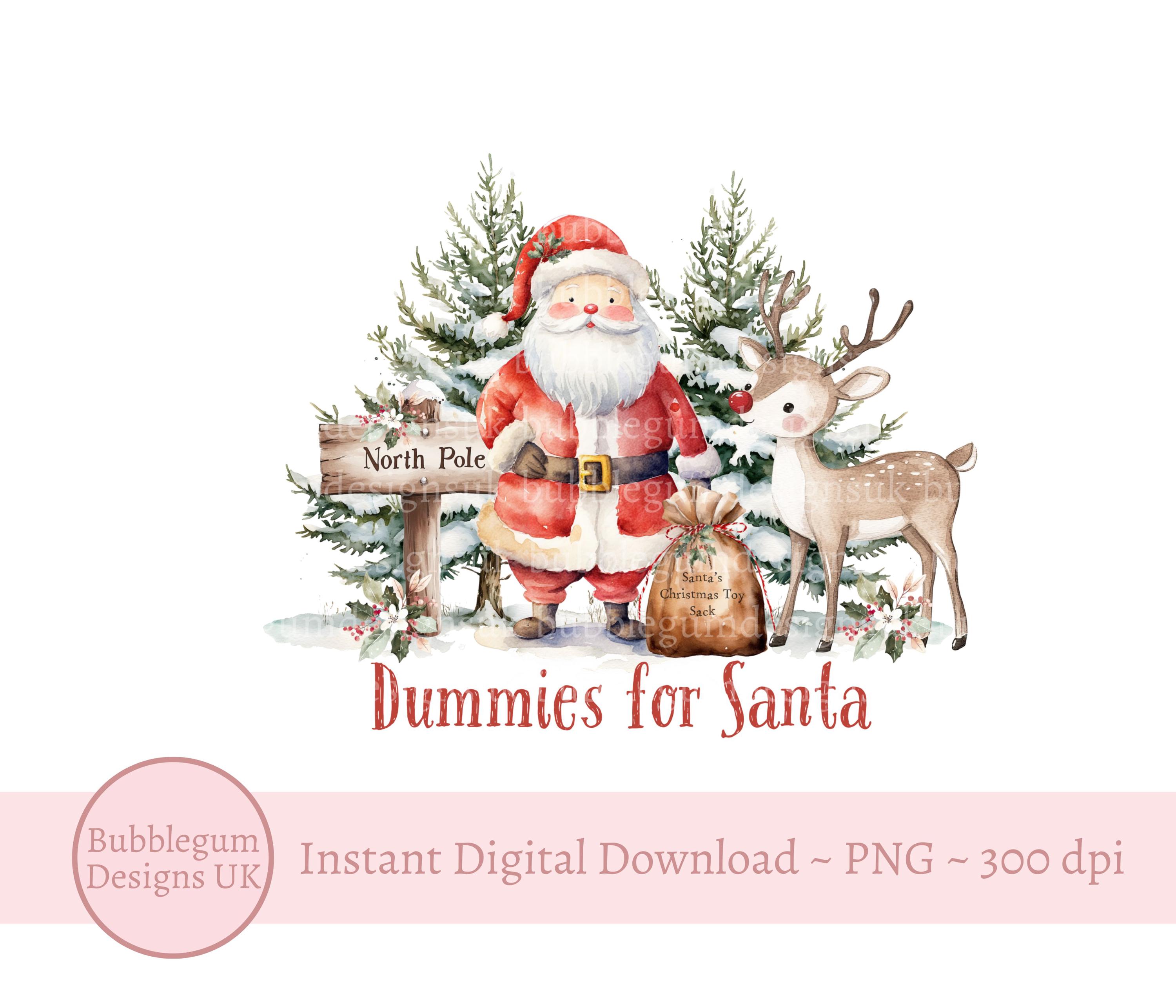 Dummies for Santa PNG, A4 Certificate & Instruction Letter, Christmas ...
