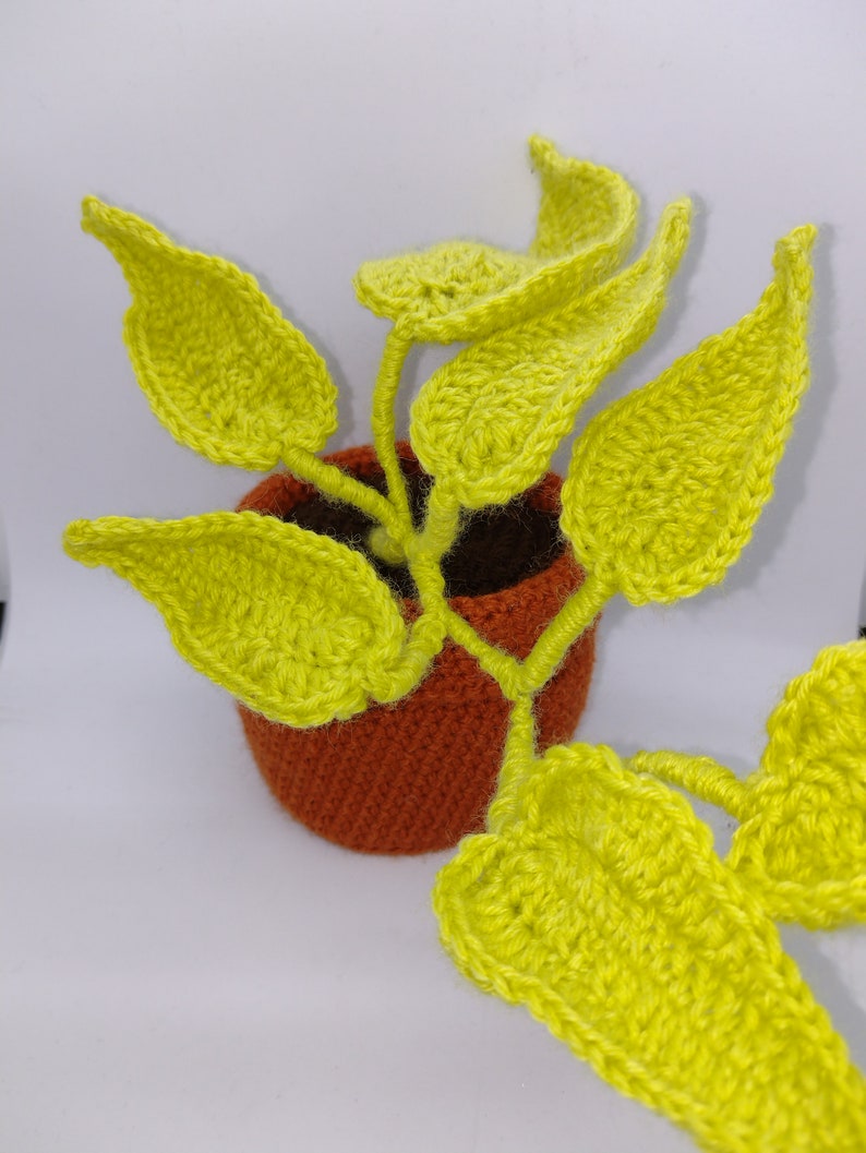 5 Houseplant Crochet Patterns Philodendron Pothos - Etsy