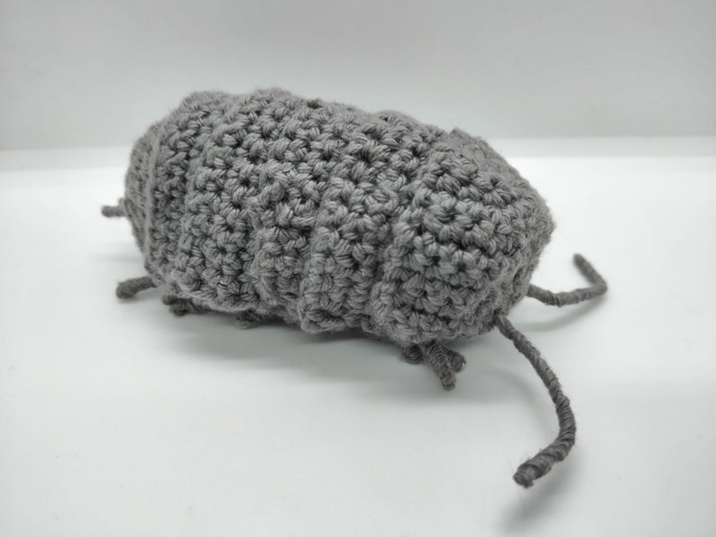 Minibeast Collection Crochet Pattern, Ladybird, Ladybug, Cricket ...