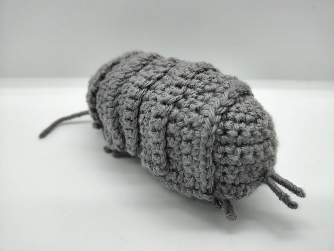 Minibeast Collection Crochet Pattern, Ladybird, Ladybug, Cricket ...