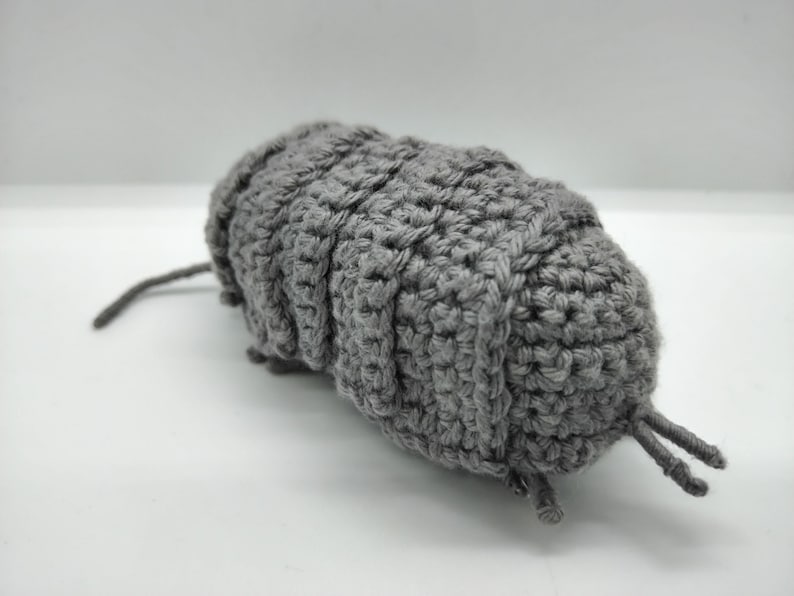 Minibeast Collection Crochet Pattern, Ladybird, Ladybug, Cricket ...