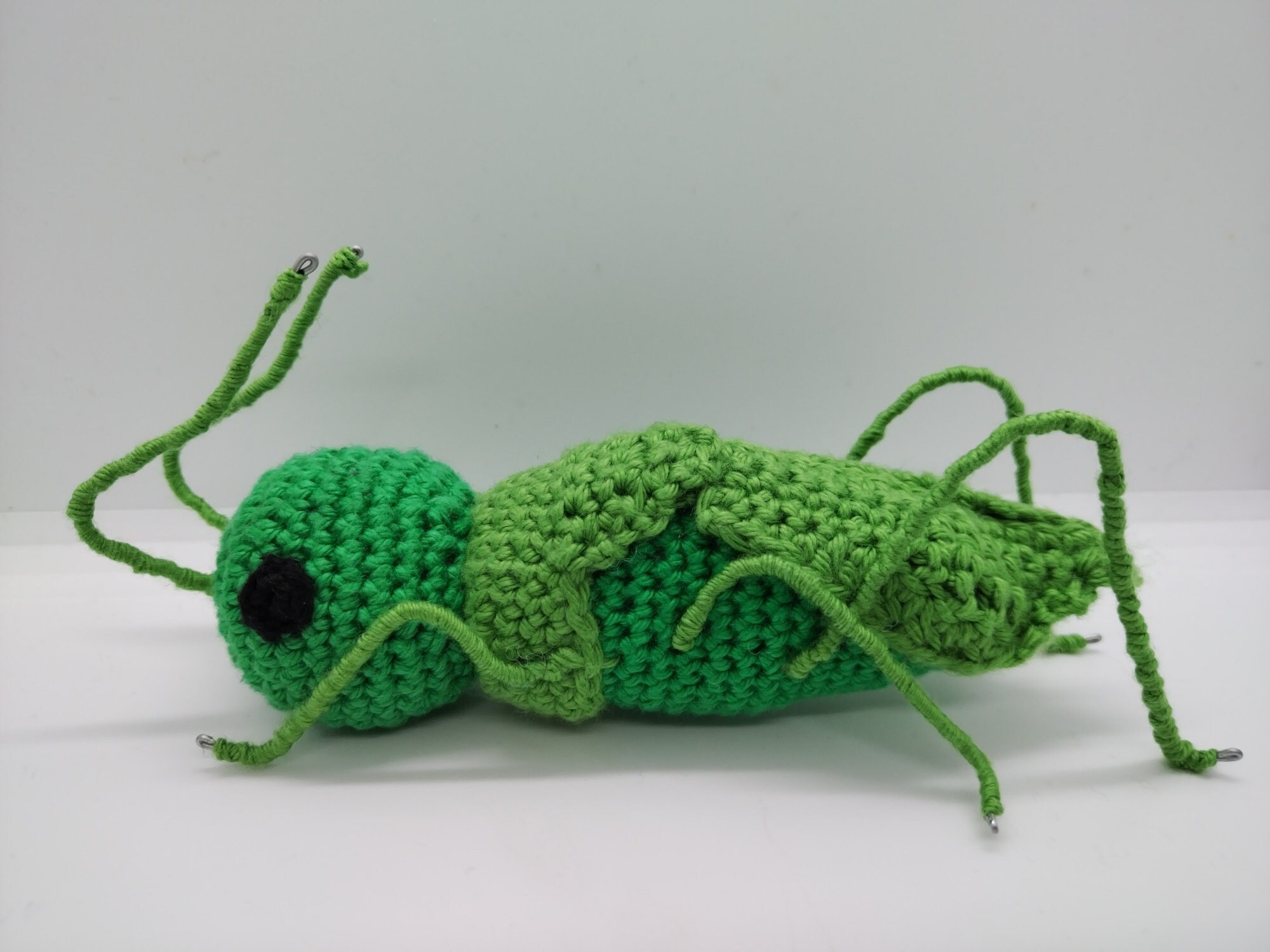 Minibeast Collection Crochet Pattern, Ladybird, Ladybug, Cricket ...