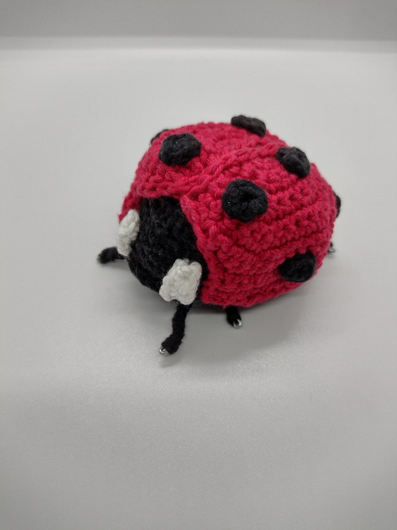 Minibeast Collection Crochet Pattern, Ladybird, Ladybug, Cricket ...