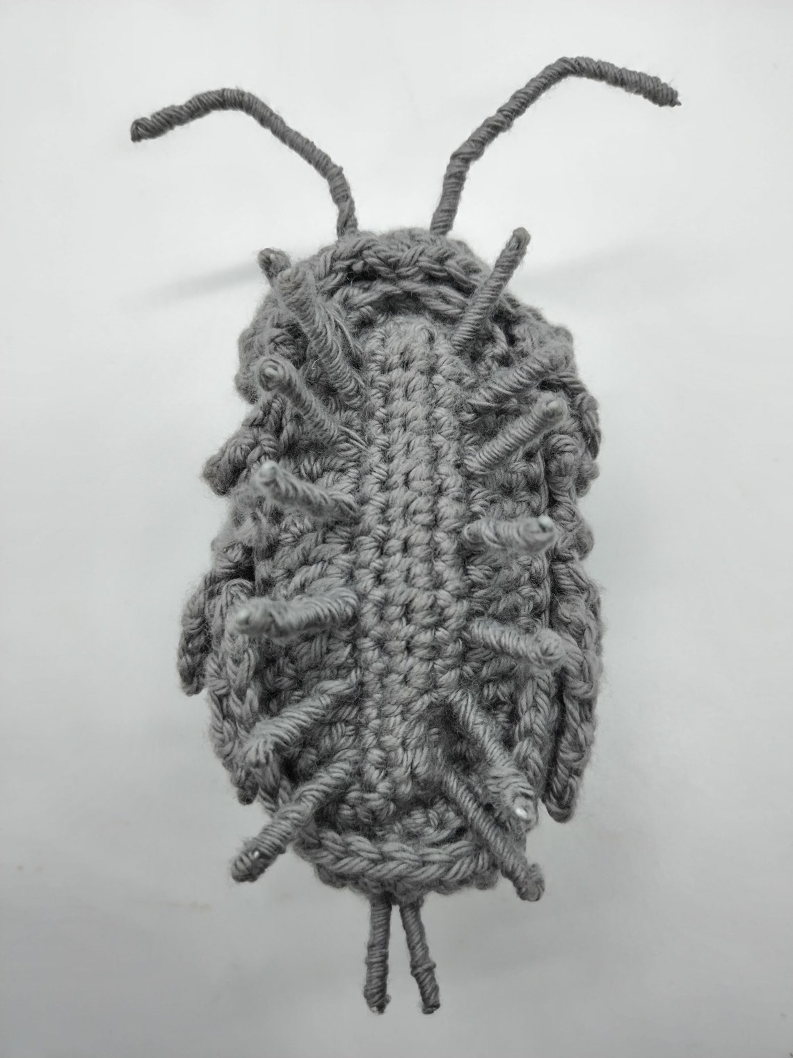 Minibeast Collection Crochet Pattern, Ladybird, Ladybug, Cricket ...