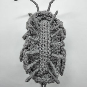 Minibeast Collection Crochet Pattern, Ladybird, Ladybug, Cricket ...