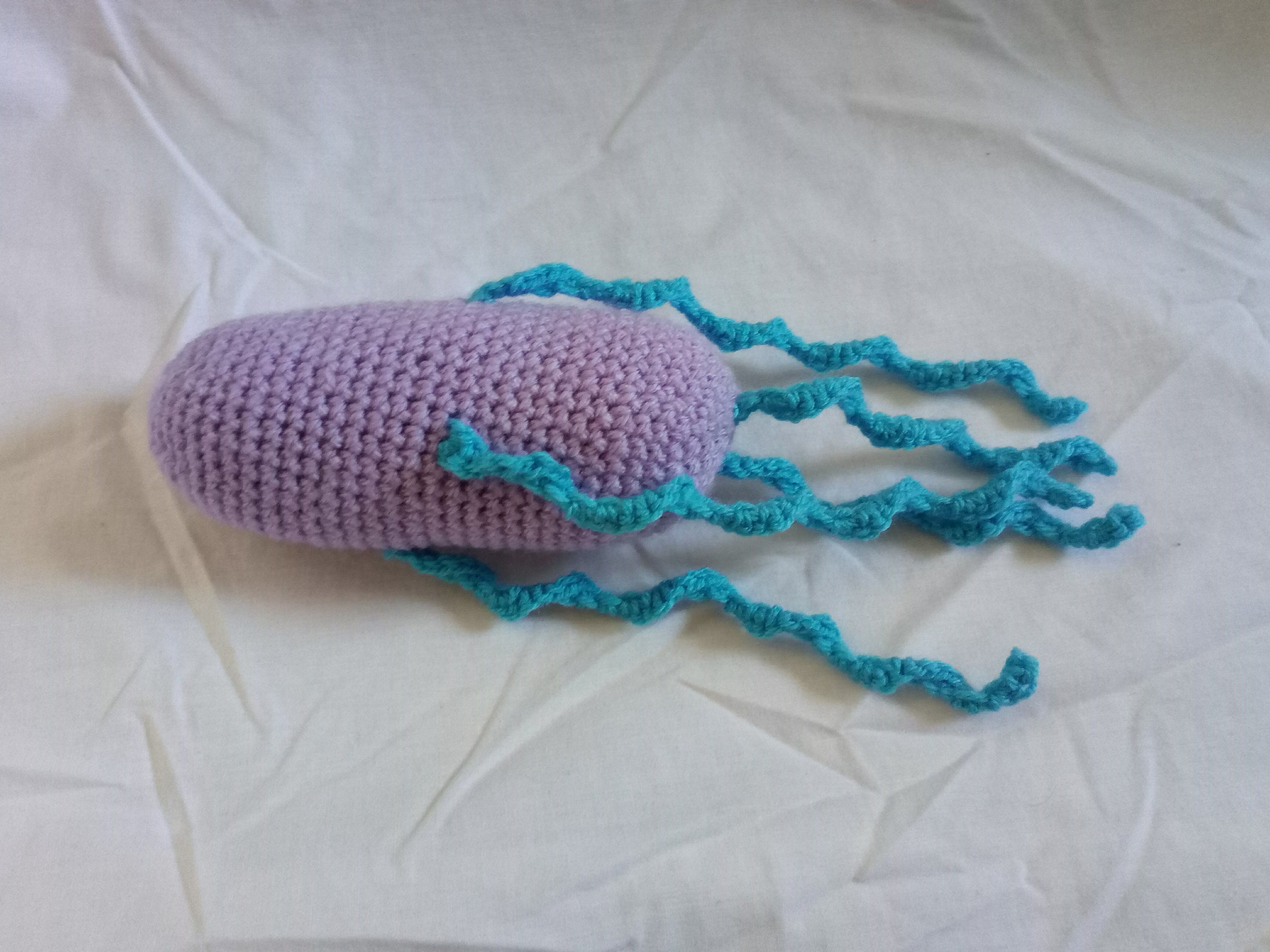 Bacteria Buddies: Crochet Pattern - Etsy