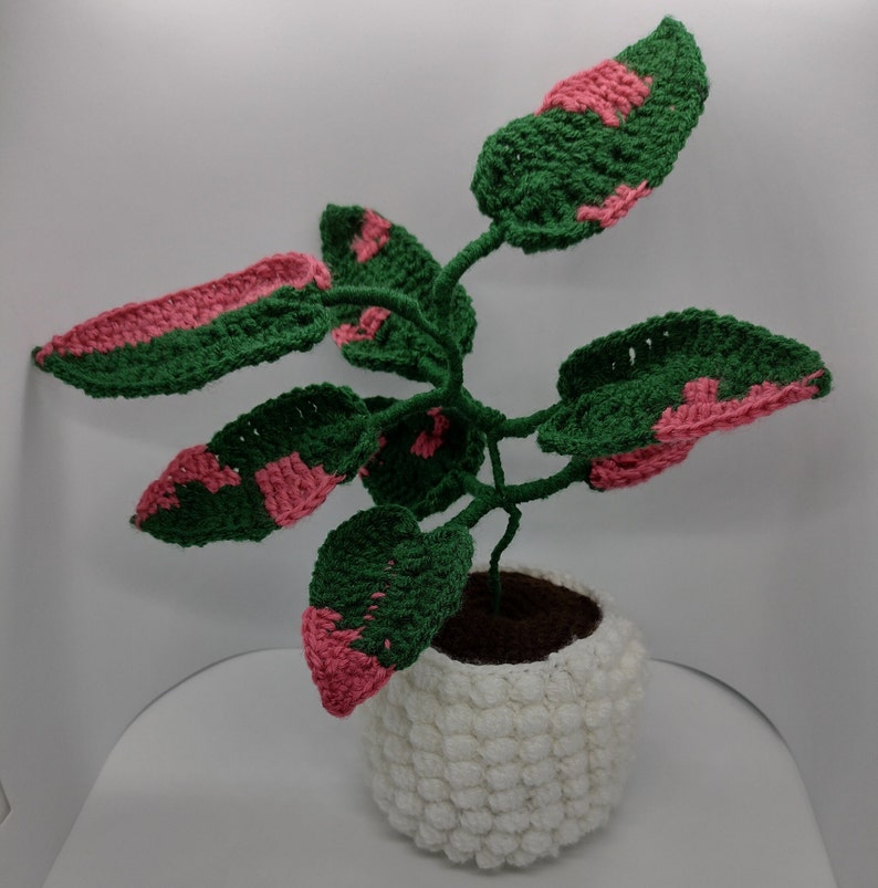 5 Houseplant Crochet Patterns; Philodendron, Pothos, Epipremnum, Pink ...