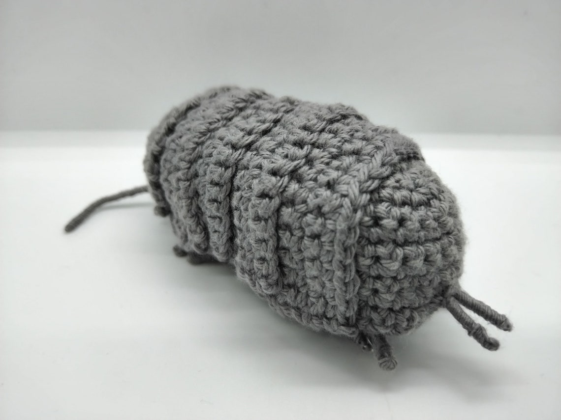 Minibeast Collection Crochet Pattern, Ladybird, Ladybug, Cricket ...