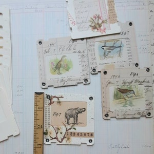 Film Slide Blanks: Specimen Cards , Paper Crafts,diy Craft - Etsy