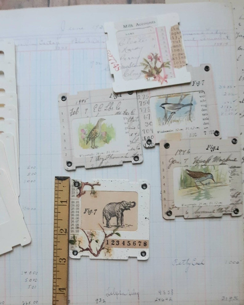 Film Slide Blanks: Specimen Cards , Paper Crafts,diy Craft - Etsy