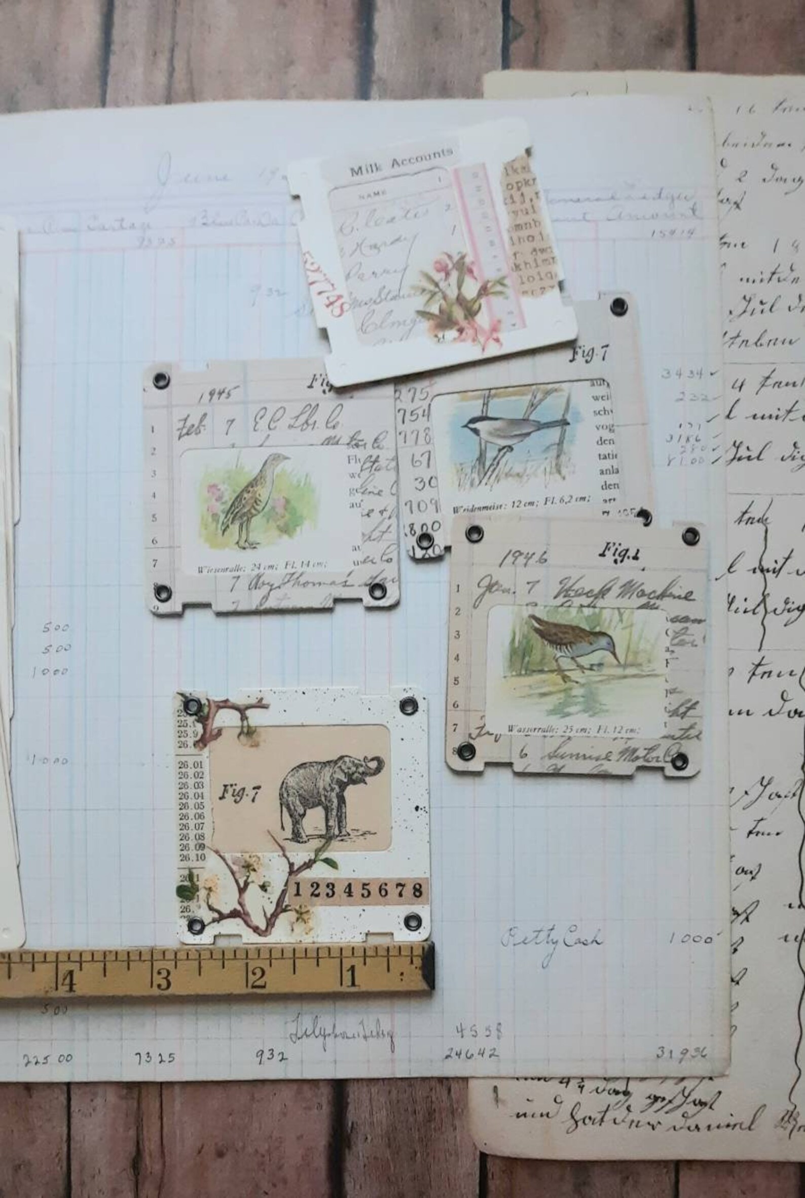 Film Slide Blanks: Specimen Cards , Paper Crafts,diy Craft - Etsy