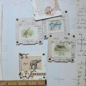 Film Slide Blanks: Specimen Cards , Paper Crafts,diy Craft - Etsy