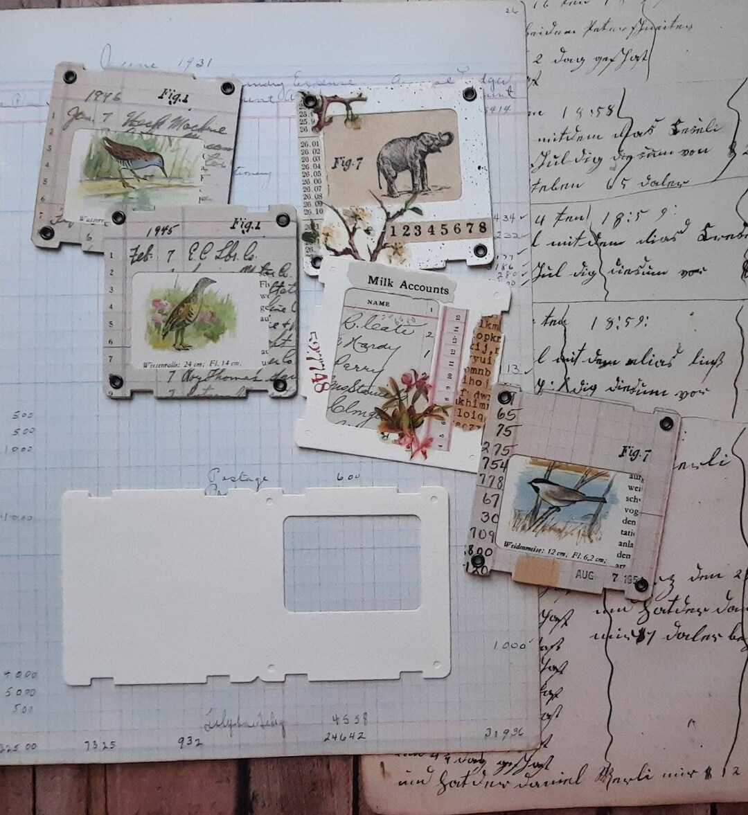 Film Slide Blanks: Specimen Cards , Paper Crafts,diy Craft - Etsy