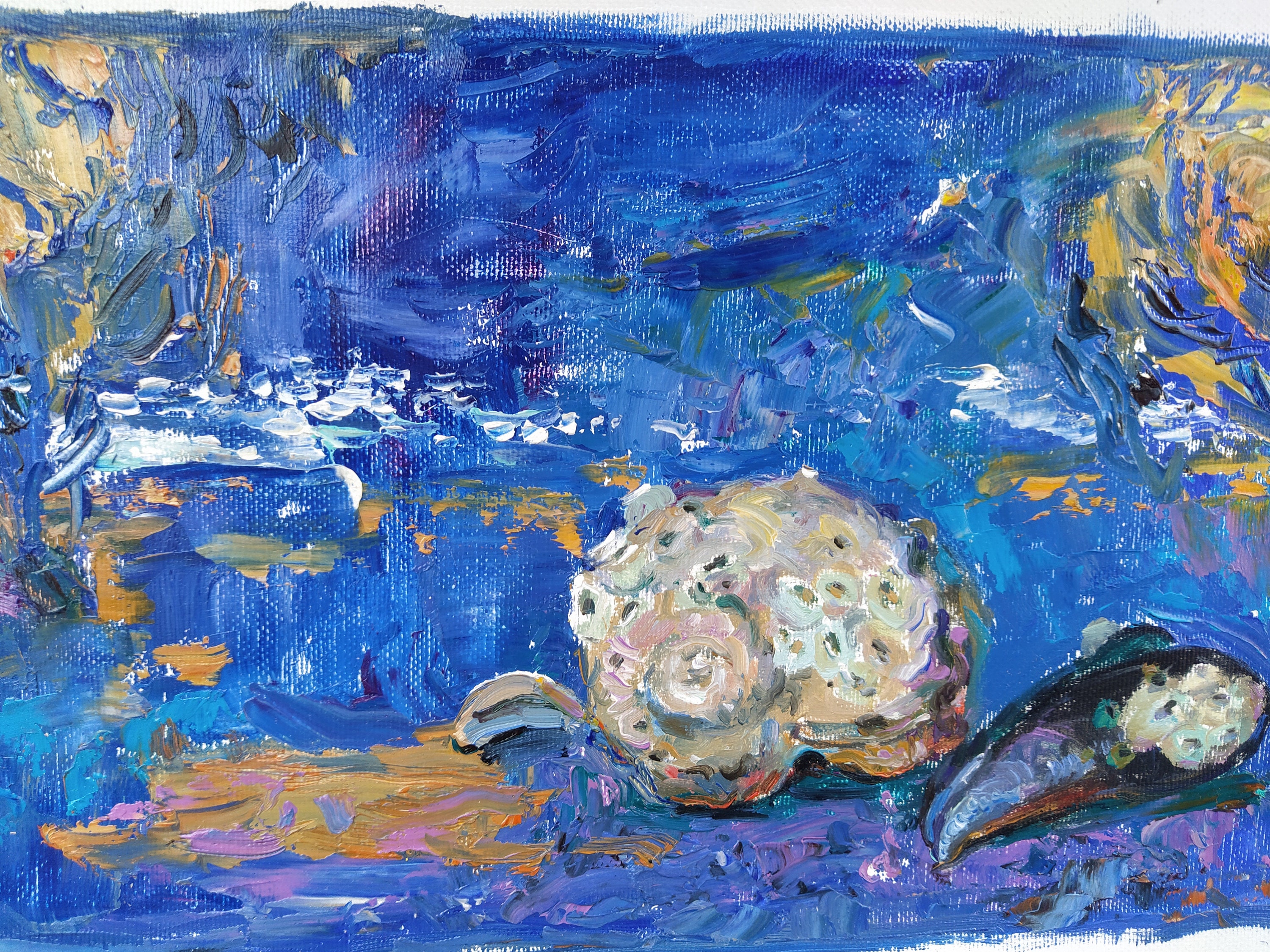 Still Life on a Marine Theme Sea Shells Shells by the Ocean - Etsy