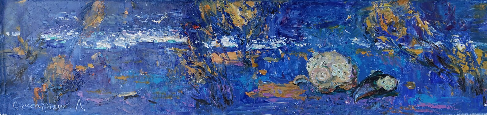 Still Life on a Marine Theme Sea Shells Shells by the Ocean - Etsy