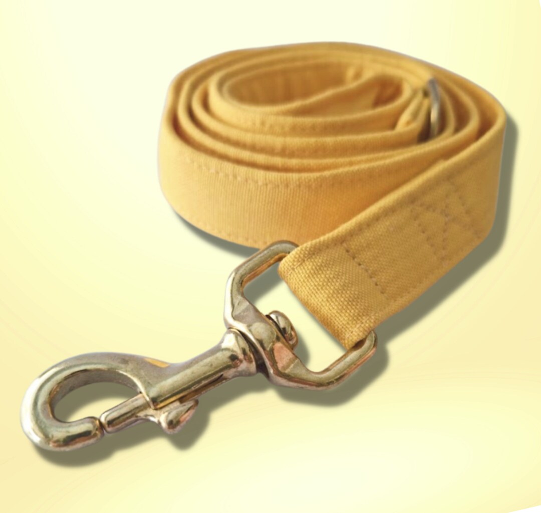 Yellow Dog Leash Lead 4ft 5ft 6ft Rose Gold Gunmetal Silver - Etsy
