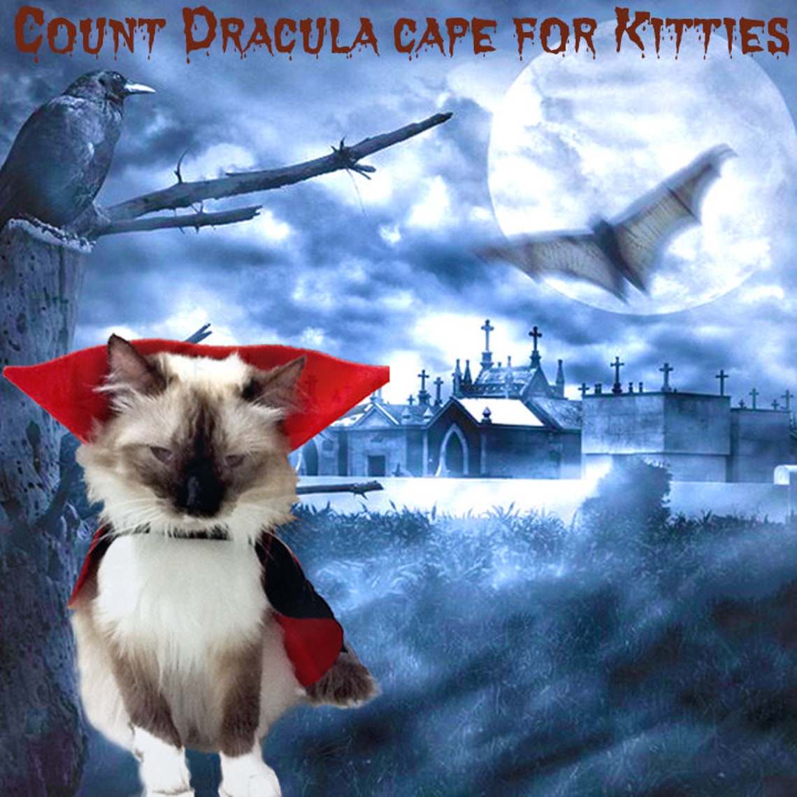 Count Dracula Dog/cat/pet Costume - Etsy
