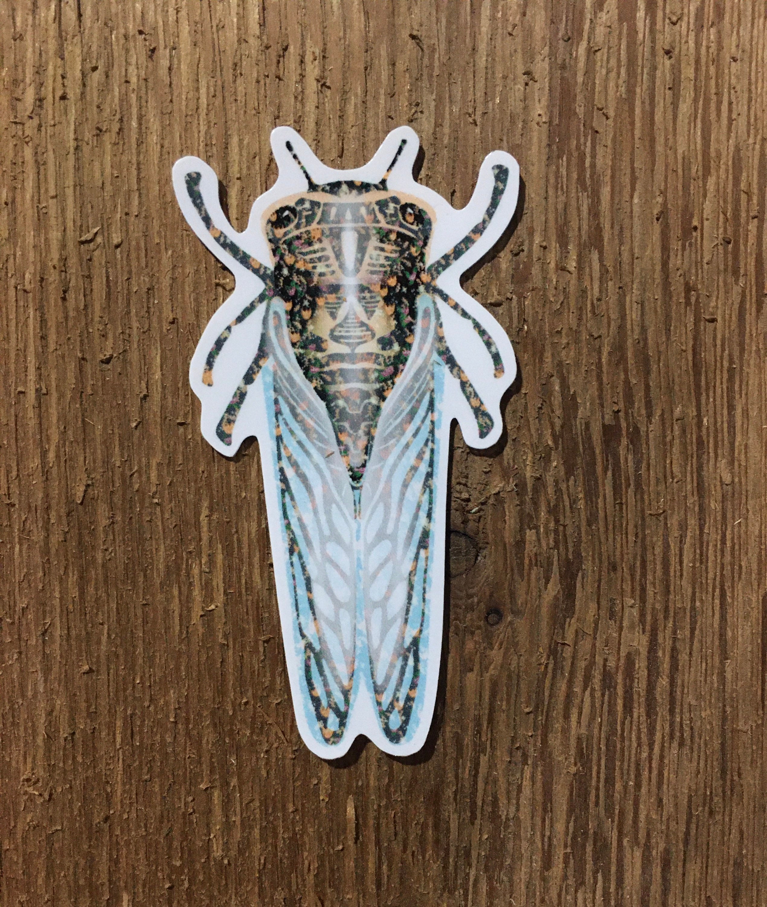 Cicada Vinyl Sticker Water Bottle Sticker Laptop Sticker - Etsy UK