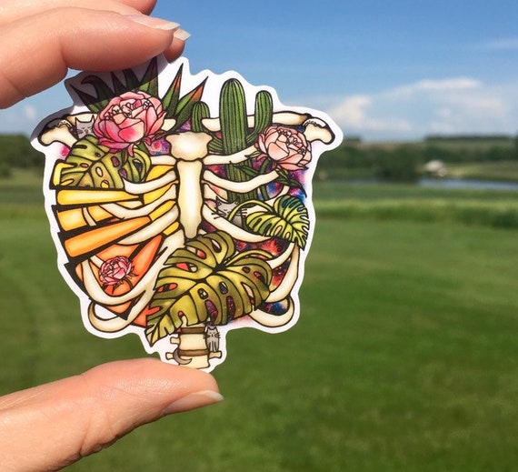 Rib Cage Vinyl Sticker / Laptop Decal / Water Bottle Sticker / - Etsy