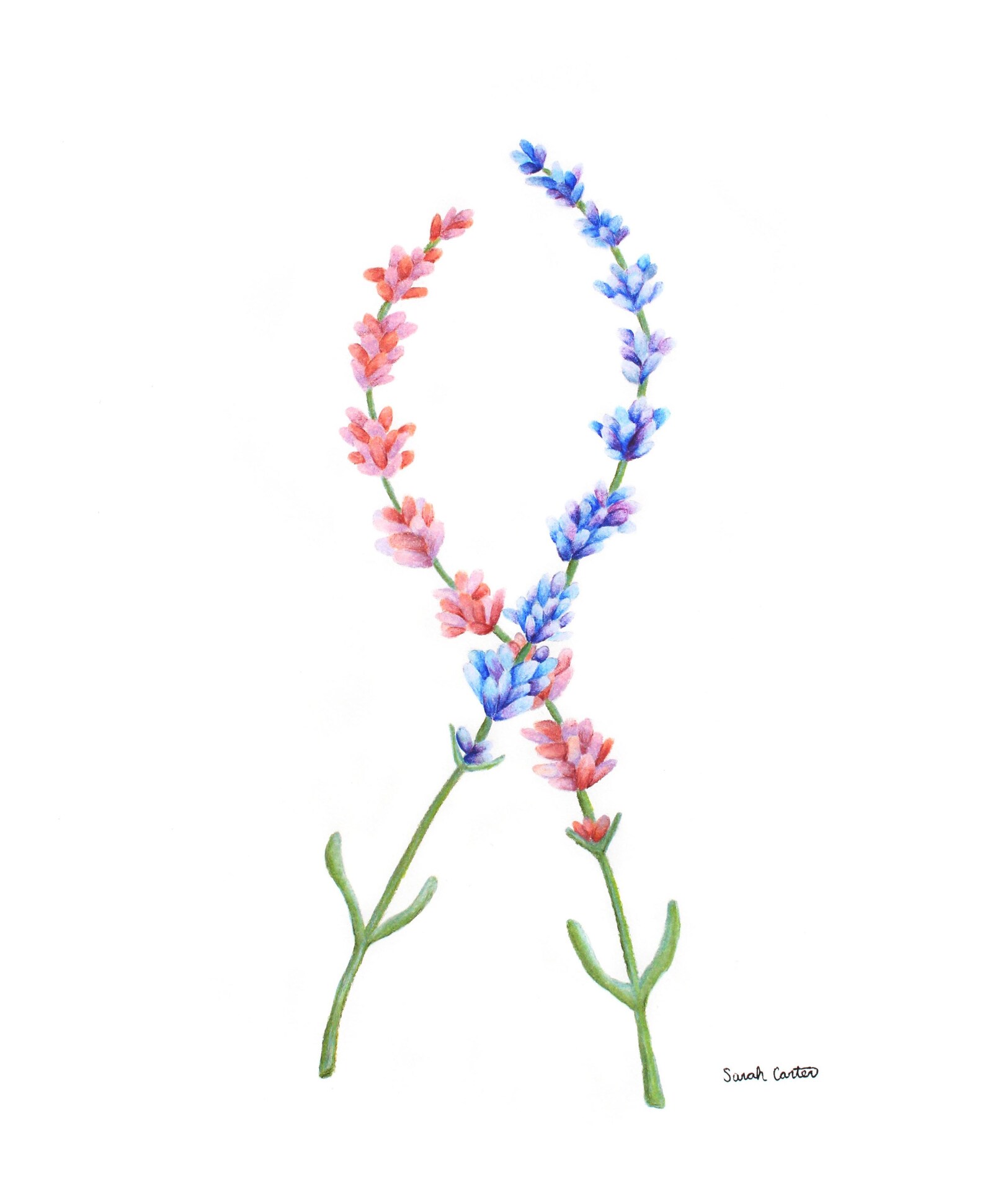Miscarriage and Infancy Loss Support Ribbon Flower Art Digital | Etsy