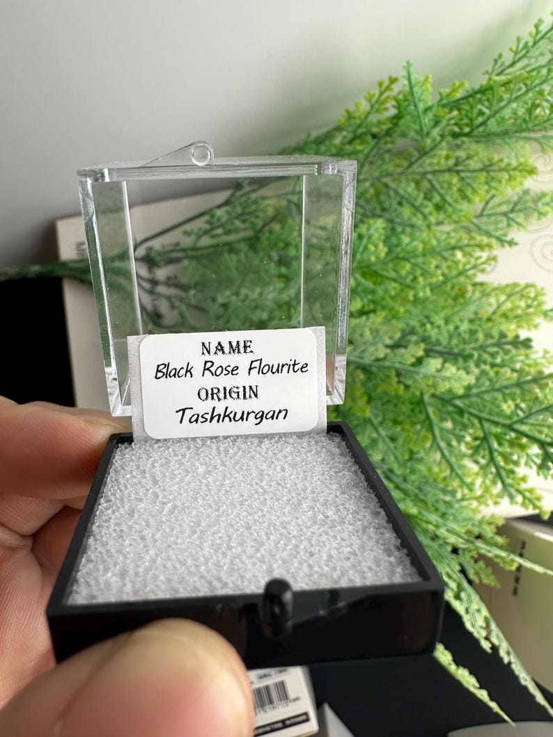 Set of 2 Perky Boxes Display Case With Foam for Crystals and Minerals ...