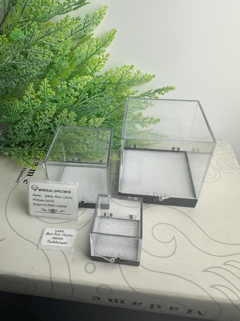 Set of 2 Perky Boxes Display Case With Foam for Crystals and Minerals ...