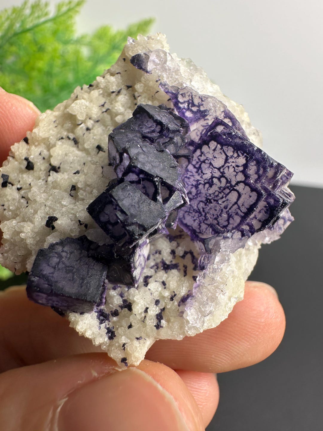 Purple Pattern Fluorite Cube Cluster Come With a Boxfluorite Mineral ...