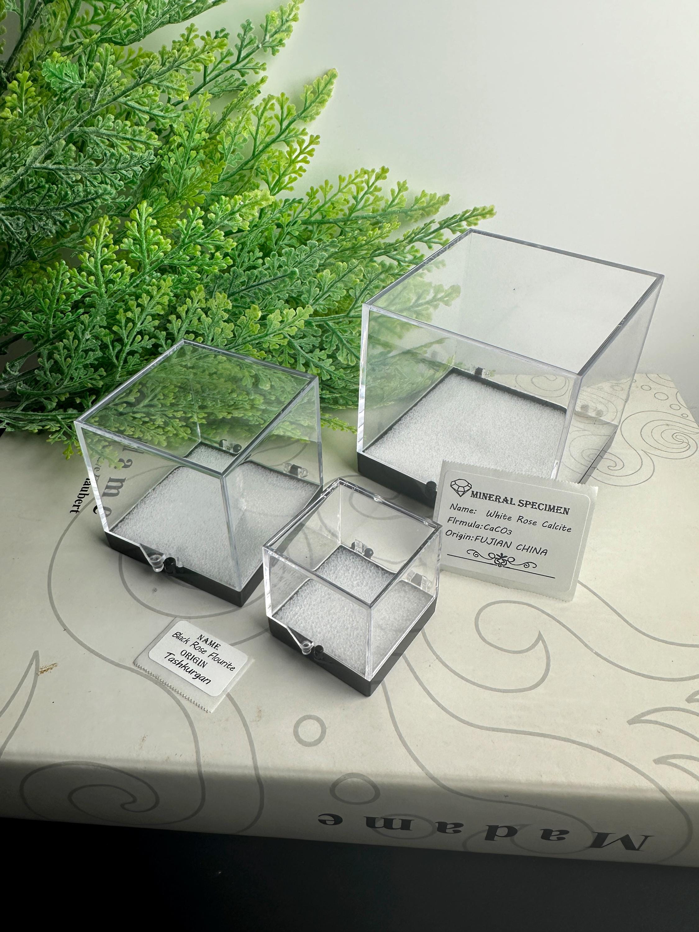 Set of 2 Perky Boxes Display Case With Foam for Crystals and Minerals ...