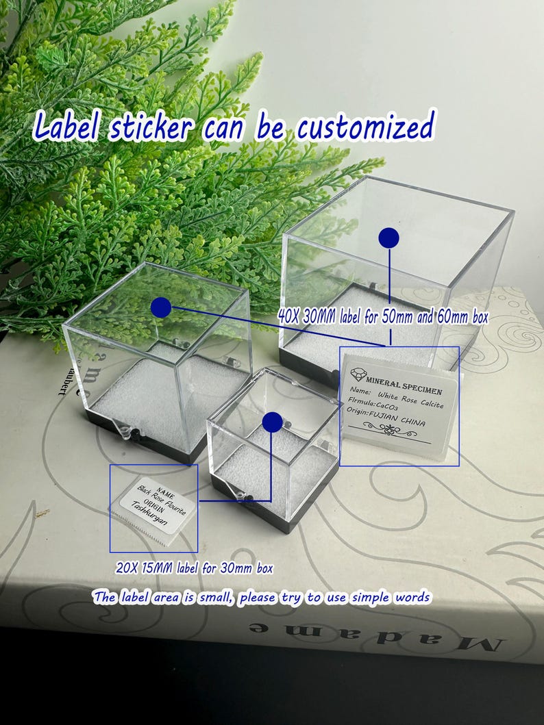Set of 2 Perky Boxes Display Case With Foam for Crystals and Minerals ...