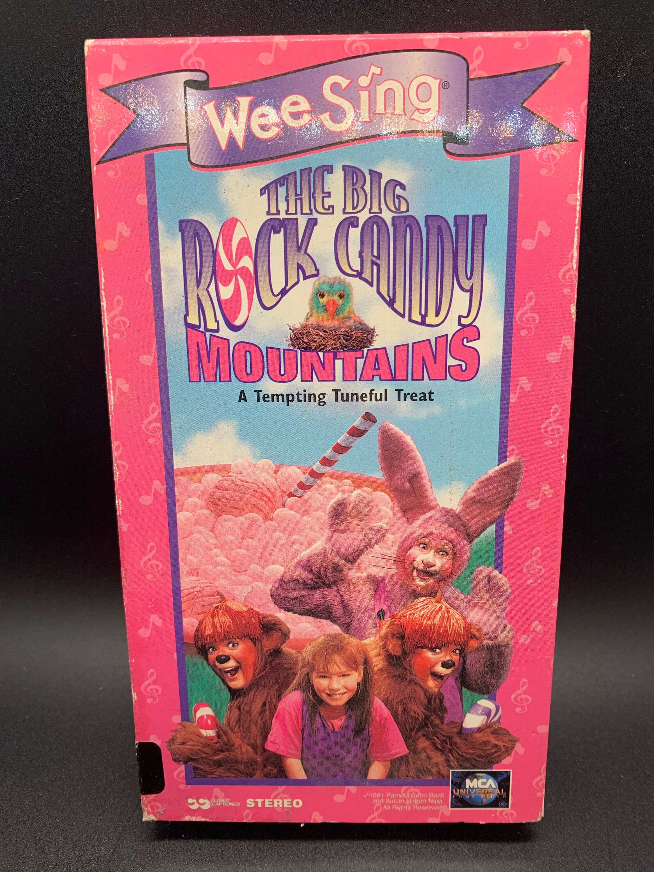 Vintage Wee Sing VHS Tapes Sillyville Big Rock Candy - Etsy