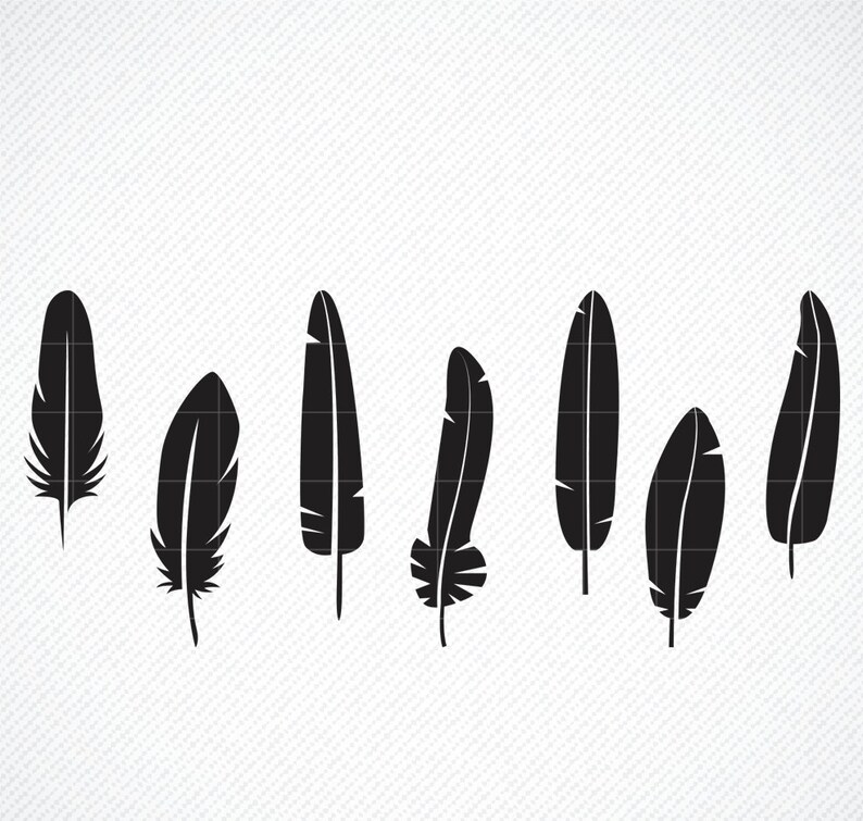 Piume SVG, Piume SVG, Clipart piuma, cricut, file di silhouette piuma ...