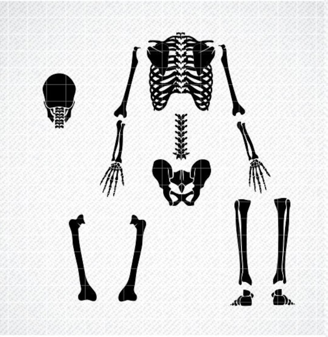 SKELETON BACK SVG, Skeleton Back Png, Skeleton Parts Png, Halloween Svg ...