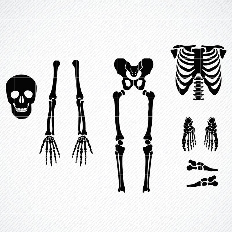 Skeleton Svg File - Etsy