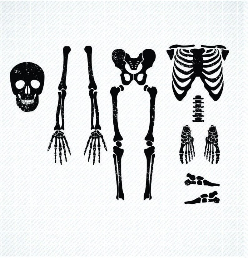 DISTRESSED SKELETON SVG Distressed Skeleton Sublimation - Etsy