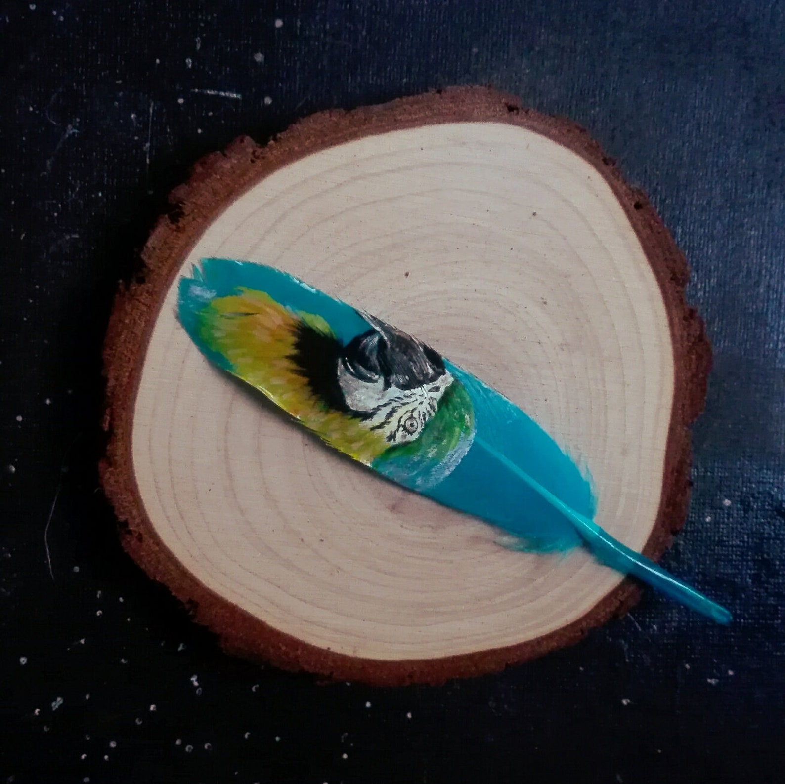 Hand painted feathers | Etsy