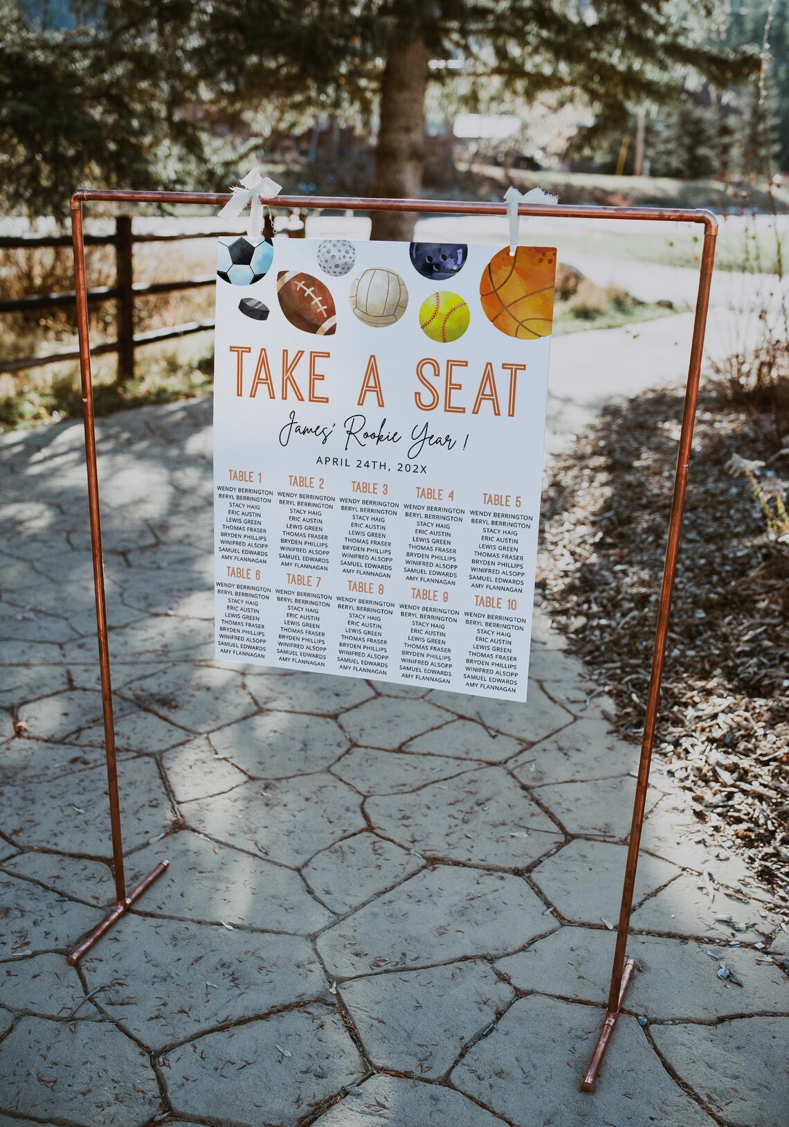 All Sports Balls 1st Birthday Party Seating Chart Printable, Sports ...