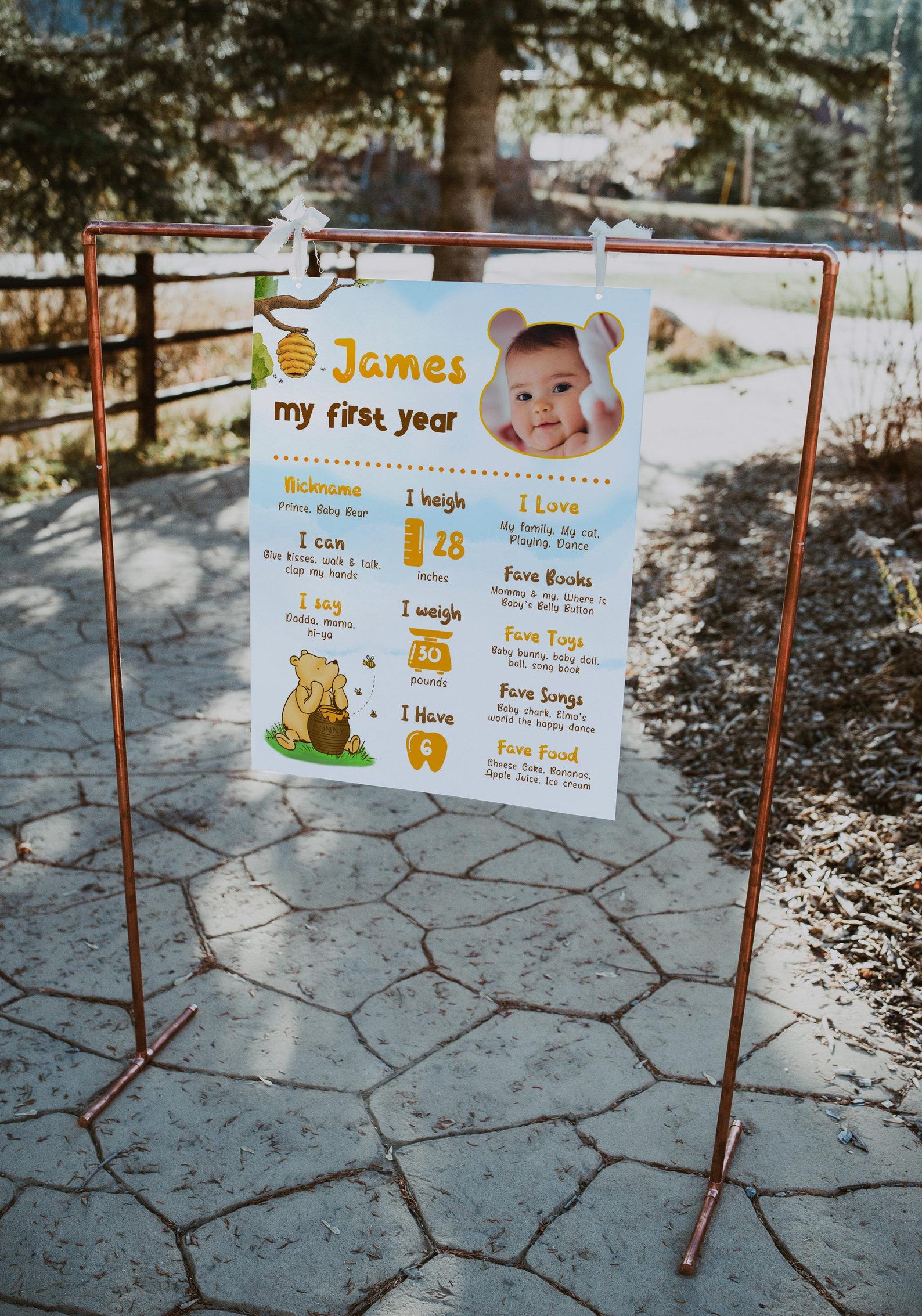 Winnie the Pooh First Year Milestone Board With Photo Template, Honey ...