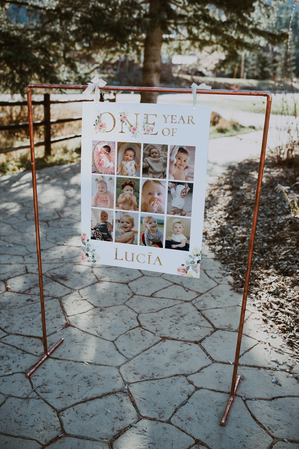 First Year Photo Board Template 1st Birthday Photo Collage - Etsy