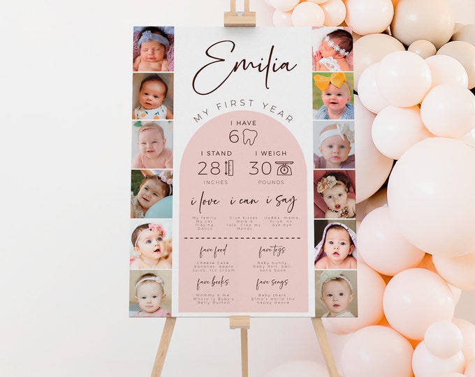 Printable First Birthday Photo Timeline Sign, Pink Gingham 1st Birthday ...